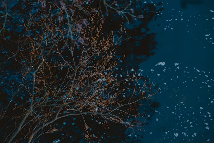 The Future of Self-Evolving Neural Networks