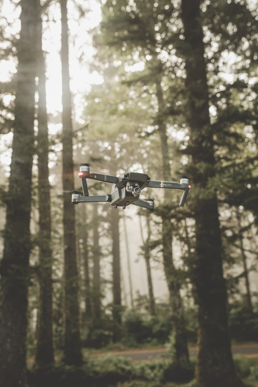 How Drones Are Monitoring Illegal Logging in Forest Regions