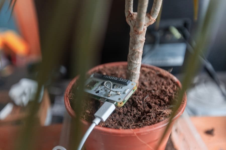 How to Build a Smart Plant Monitor with Arduino and Sensors