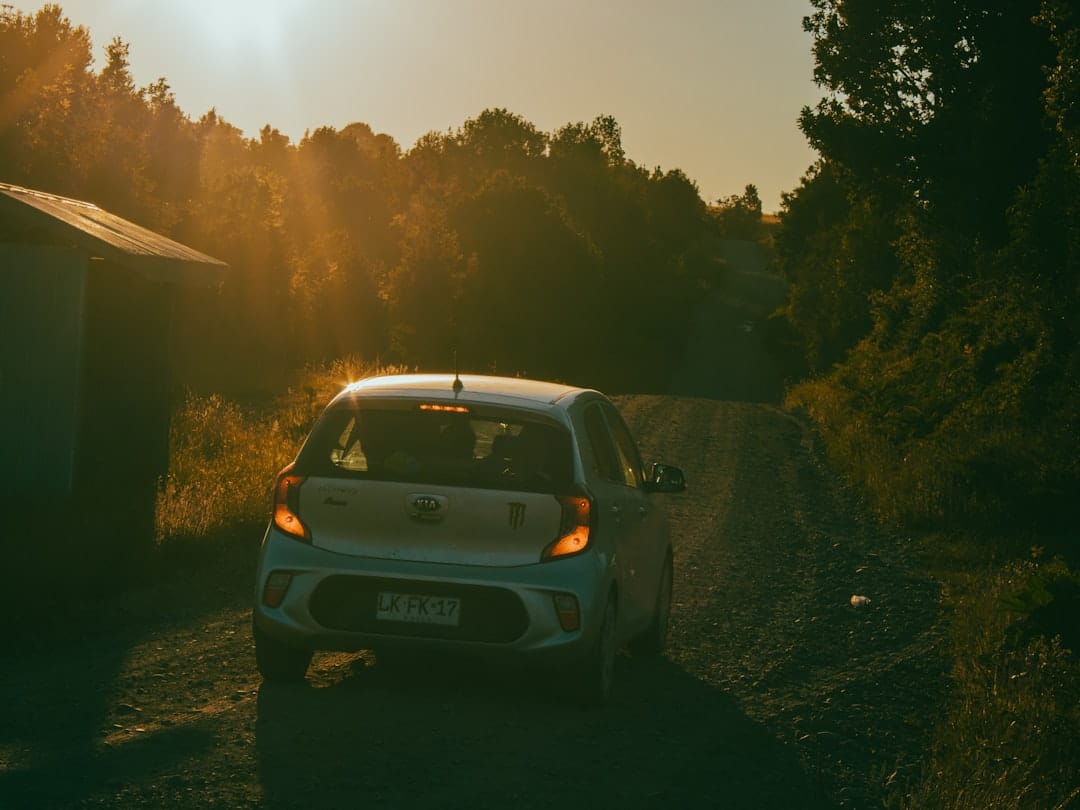 The Role of DAOs in the Governance of Web3 Projects