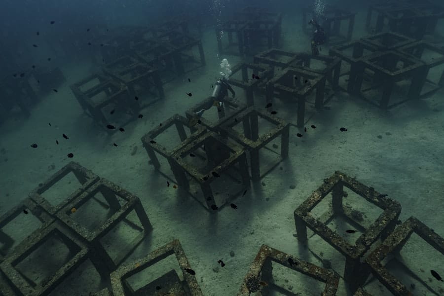 Deep Sea Mining Robots: The Controversy and Technology